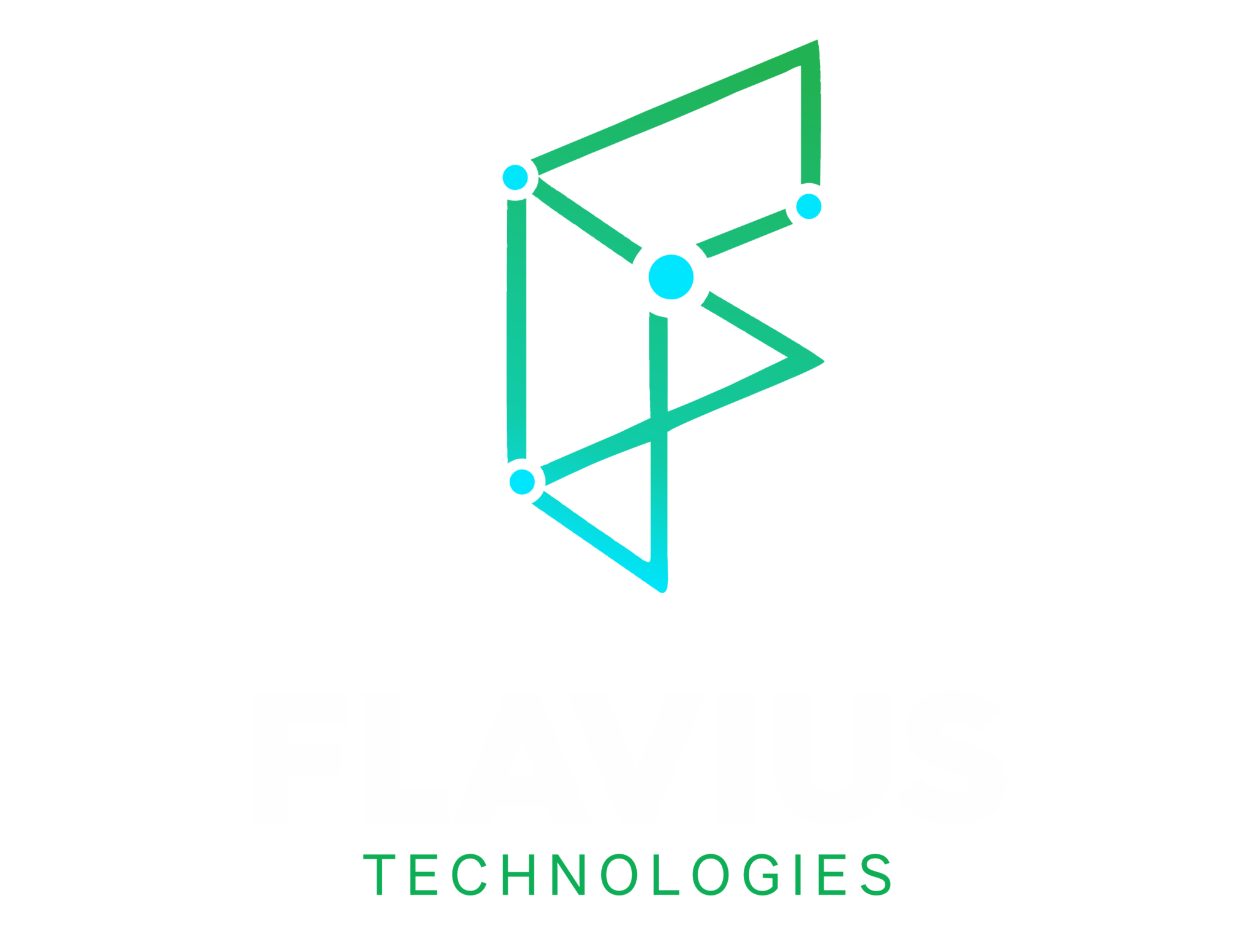 Portfolio | Eommerce & Corporate Website Projects Barbados