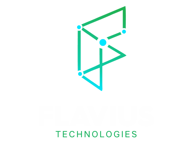 Contact Us – Flavius Technologies | Web Development Barbados